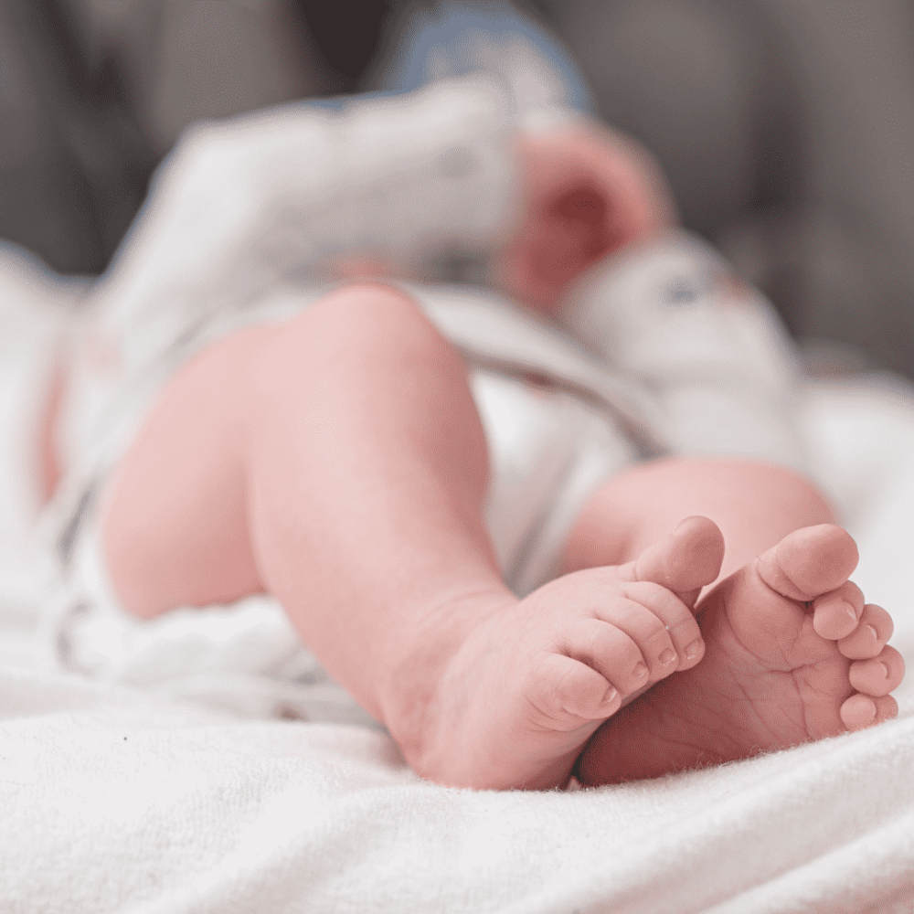 La Balanite (ou l’enflure du gland) - Marie Fortier & Prenato